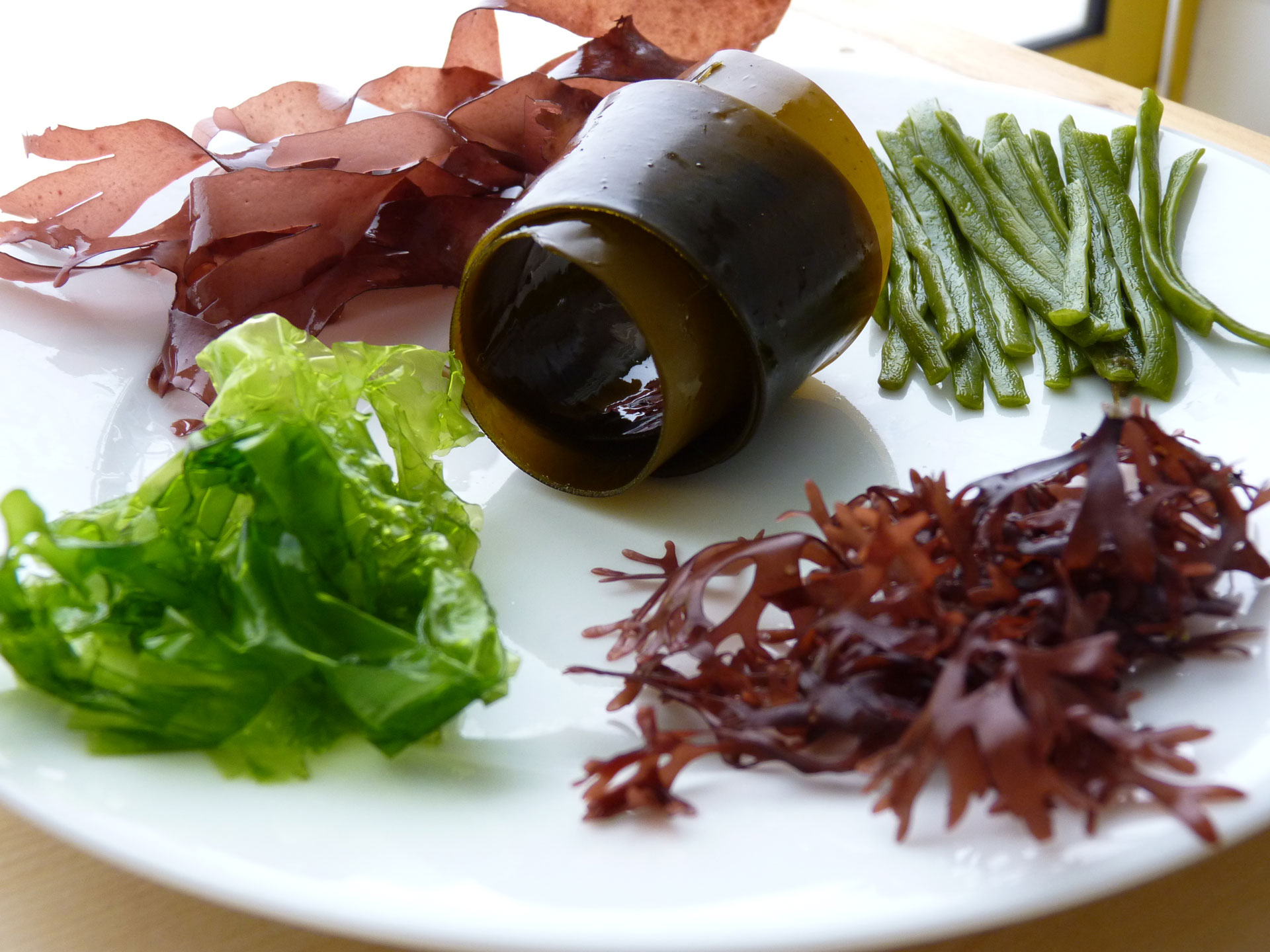 Composition nutritionnelle des algues - CEVA Composition nutritionnelle des algues - CEVA